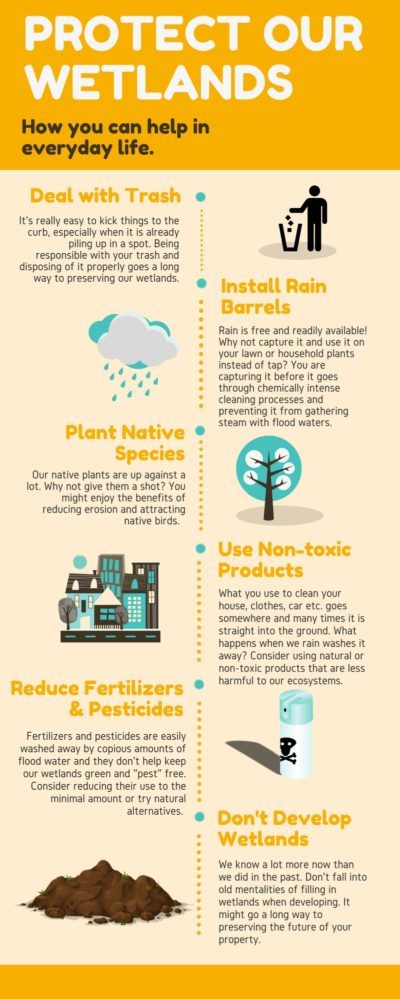 Laie Wetlands Cleanup Hawaiian Paddle Sports Malama Maui