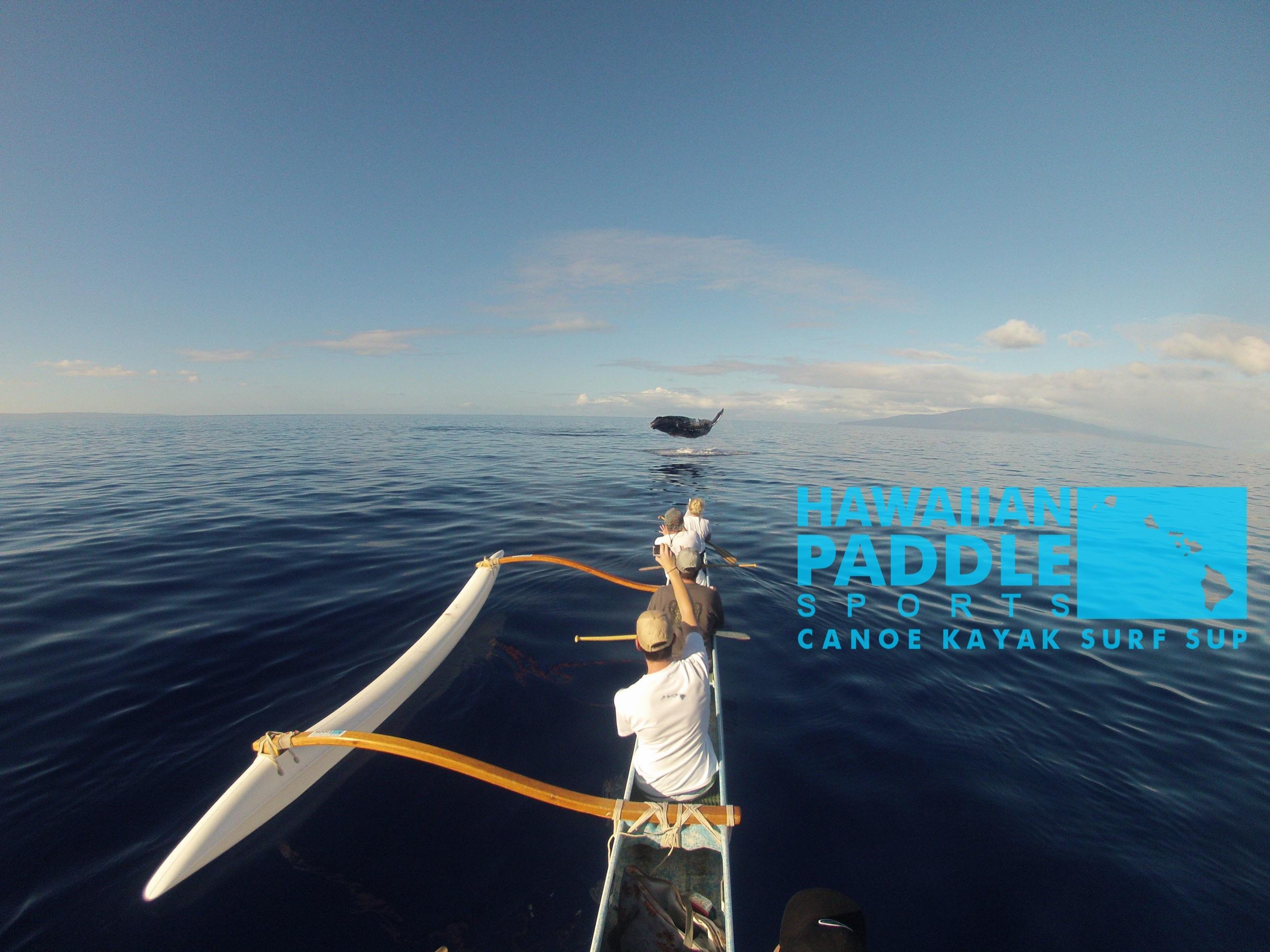 Exploring Maui Thru Hawaiian Paddle Sports